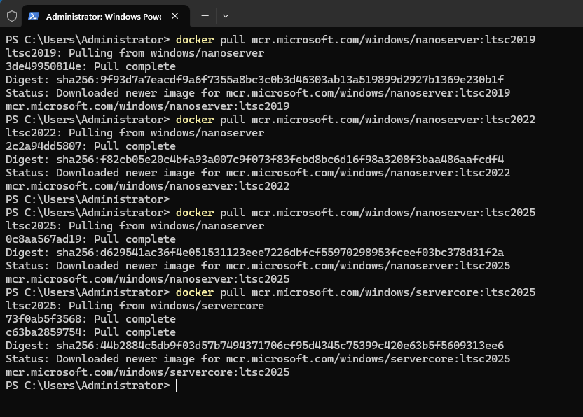 Nutzung von Containern und Hyper-V mit Windows Server 2025 | Computer ...