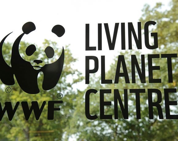WWF Living Planet Centre - IT at the WWF Living Planet Centre