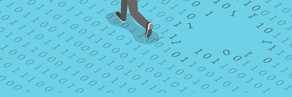 Nmap unter Windows installieren und konfigurieren | Computer Weekly