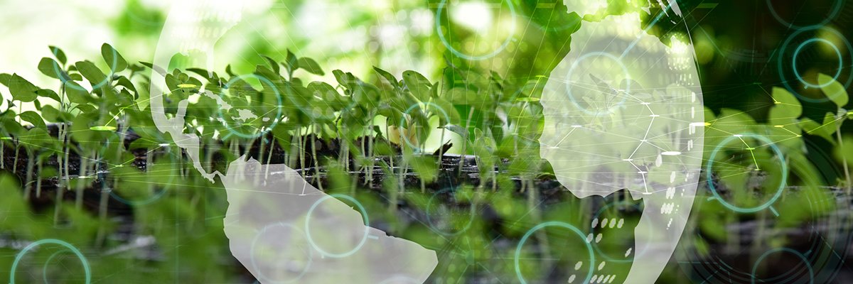 Making software development greener | Computer Weekly