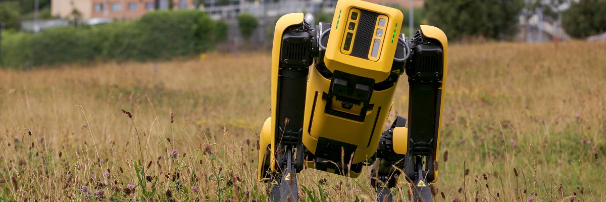 University of Sunderland applies technology through robot dog ...