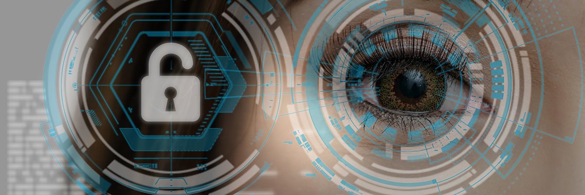 How does red teaming test the ultimate limits of cyber security ...