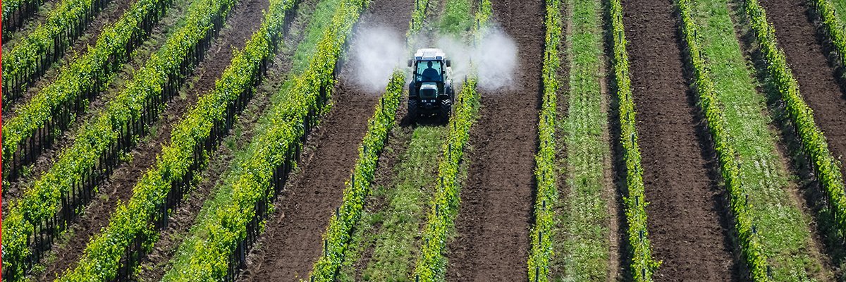 How India’s Cropin is tapping the groundswell in agritech | Computer Weekly