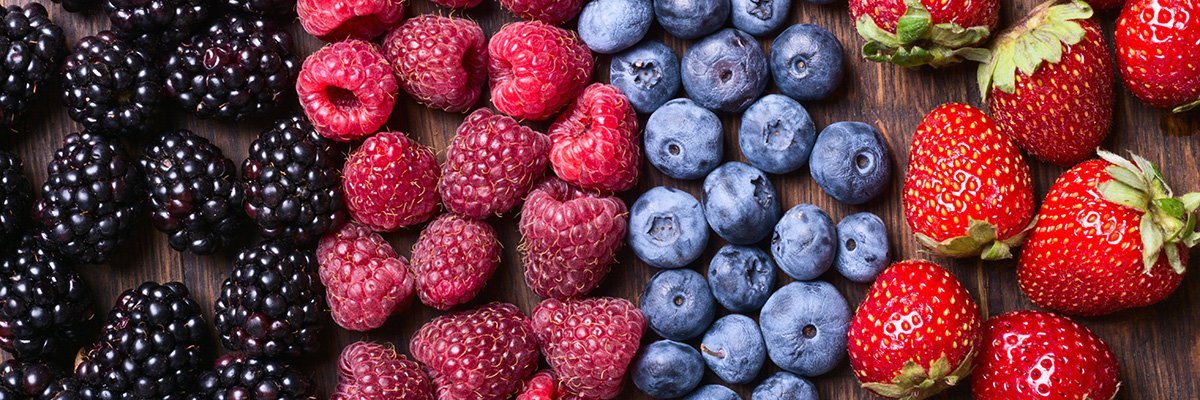 Fruit firm W B Chambers uses IFS suite to grow business | Computer Weekly